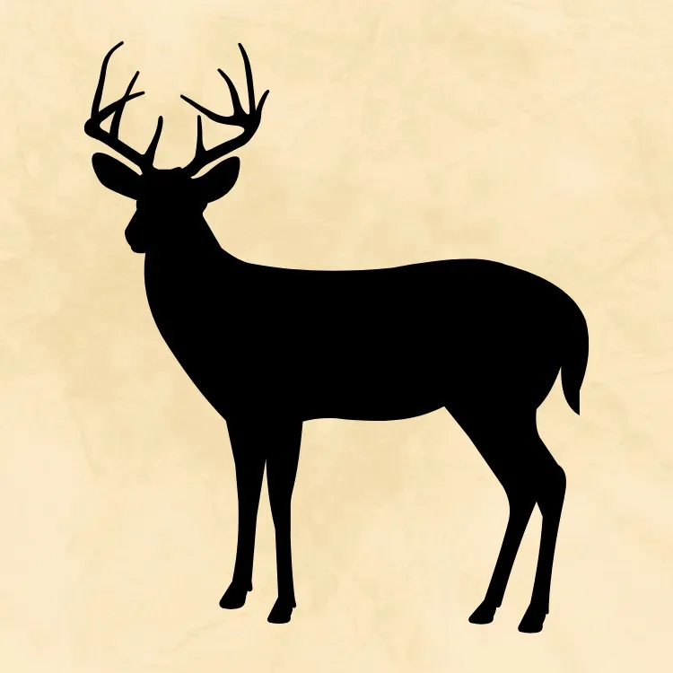 White Tail Deer Buck Standing Silhouette SVG Cricut Cut File | Vector ...